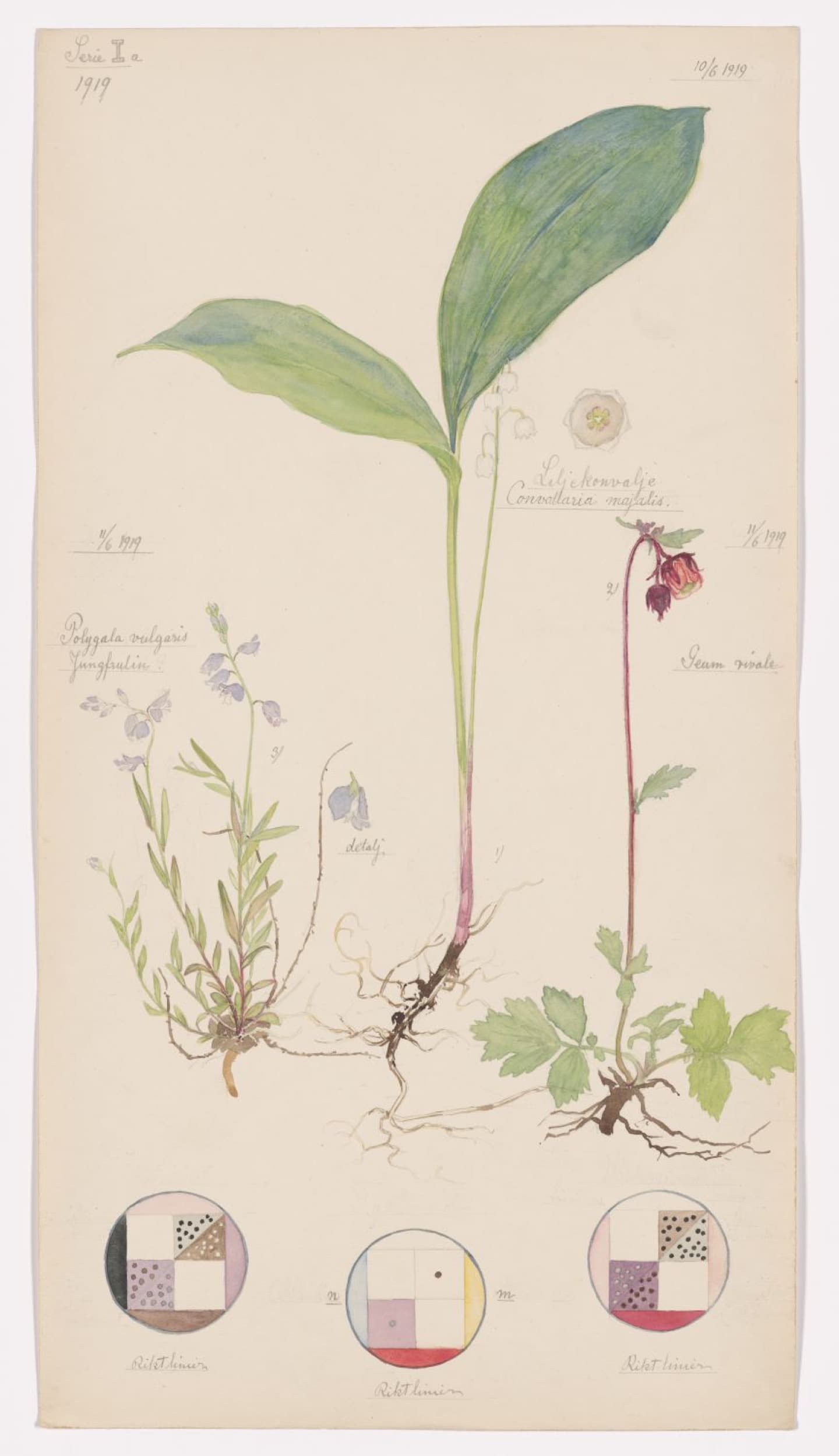 Hilma af Klint: What Stands Behind the Flowers - The Brooklyn Rail