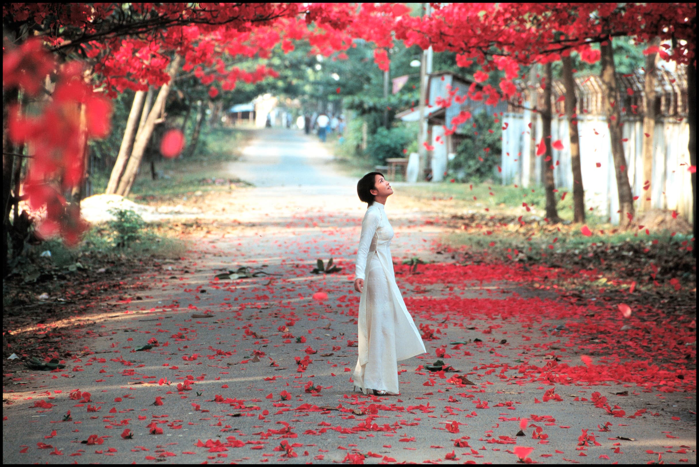 Tony Bui’s Three Seasons and the 23rd New York Asian Film Festival ...
