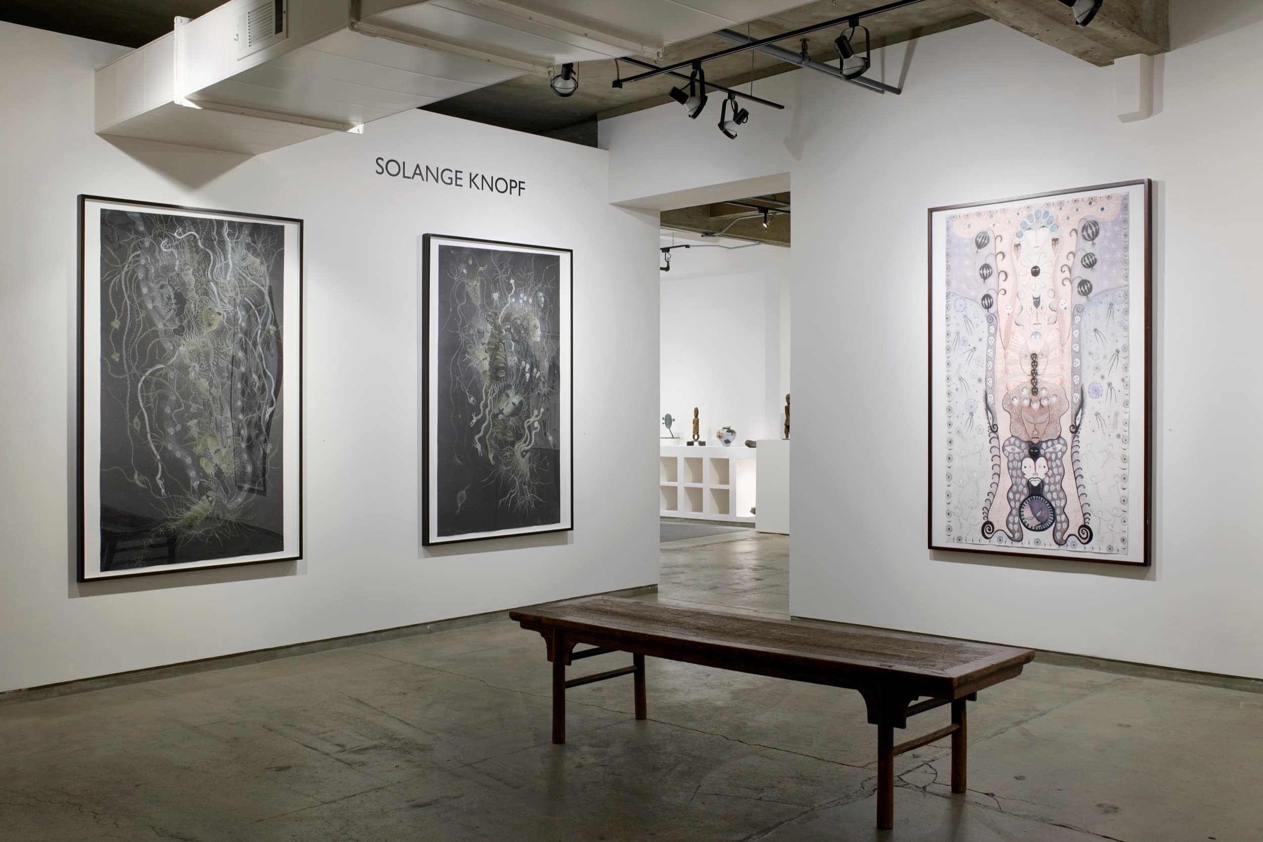 Enlightened Darkness: New Drawings by Solange Knopf - The Brooklyn Rail