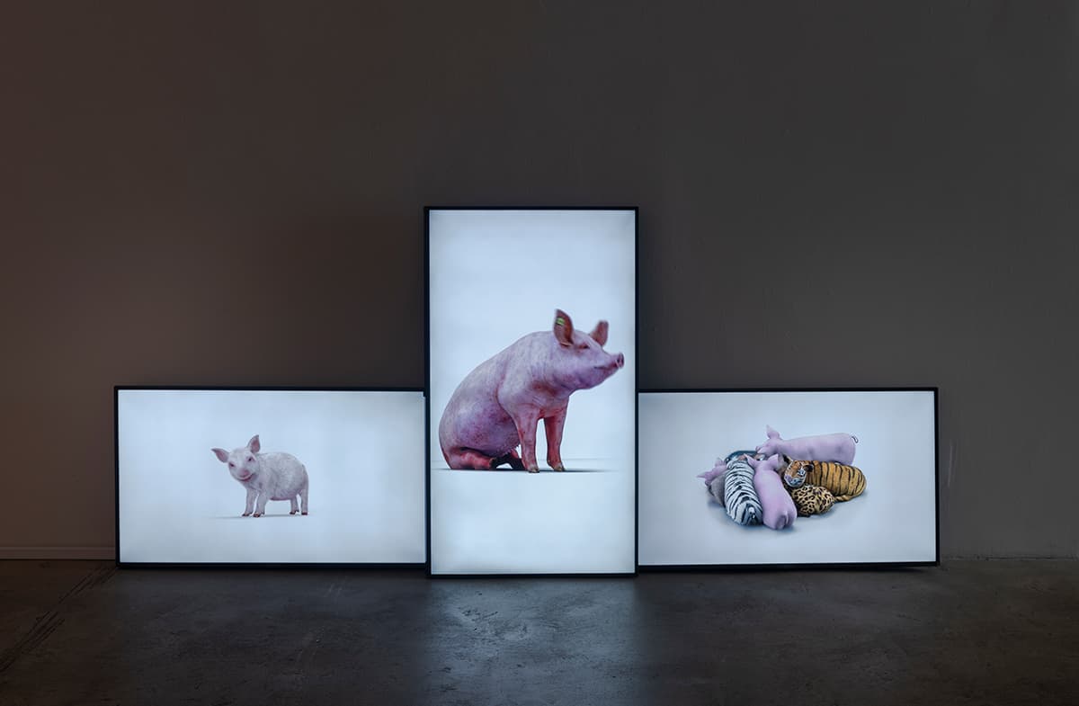 Heather Dewey-Hagborg: Hybrid: an Interspecies Opera - The Brooklyn Rail